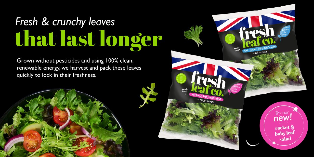 fresh leaf co. | these leaves last longer